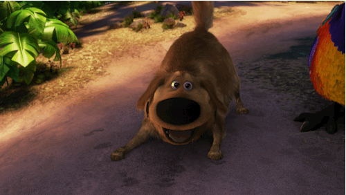 GIF up pixar dog - animated GIF on GIFER