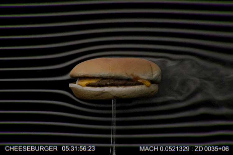 Research burgers GIF - Find on GIFER