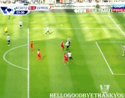 GIF southampton fc - animated GIF on GIFER