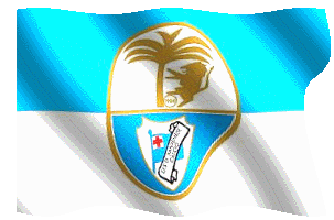 Southampton fc GIF - Find on GIFER