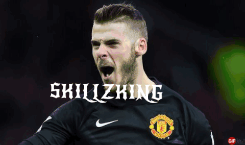 Raphael varane GIF - Find on GIFER