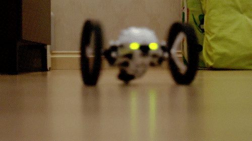 Parrot jumping bb 8 GIF - Find on GIFER