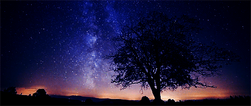 Peaceful GIF - Find on GIFER