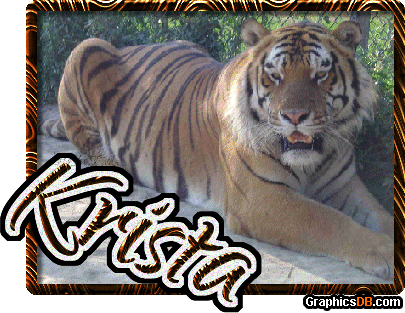GIF tiger - animated GIF on GIFER