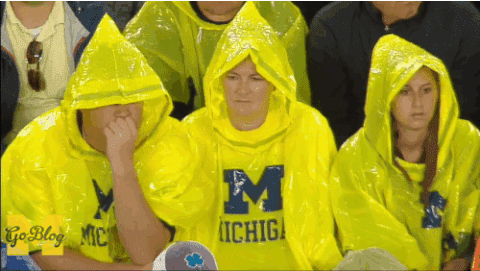 GIF michigan football - animated GIF on GIFER