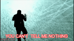 Crow Flying Animation