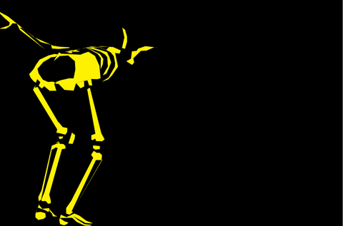 Mike mcdonnell skeleton dive GIF - Find on GIFER