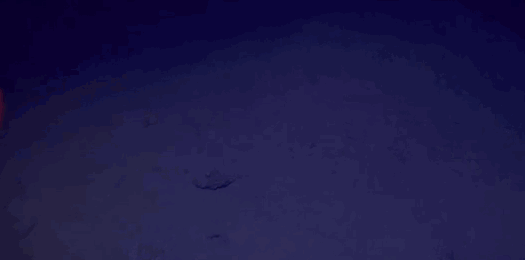 Fishy GIF - Find on GIFER