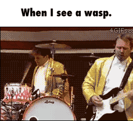 System of a down GIF - Find on GIFER