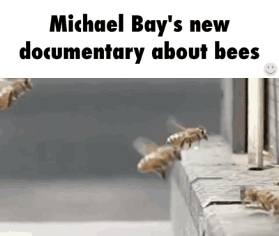 Documentary GIF - Find on GIFER