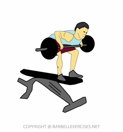 Exercising GIF - Find on GIFER