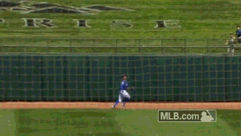 Field GIF - Find on GIFER