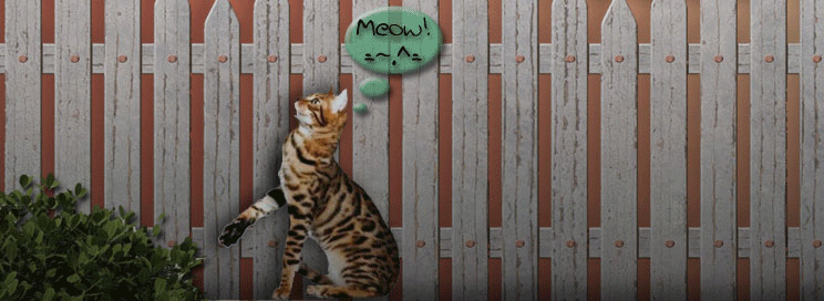 Claws GIF - Find on GIFER