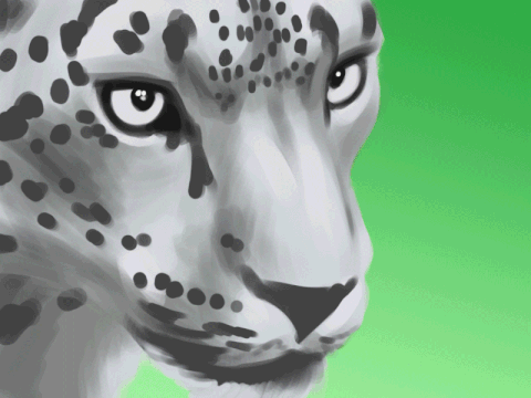 Leopard GIF - Find on GIFER