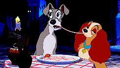 GIF lady and the tramp - animated GIF on GIFER