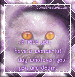 Wonderful GIF - Find on GIFER