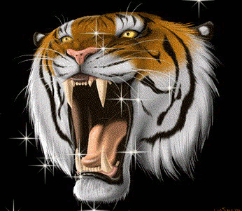 Tiger GIF - Find on GIFER