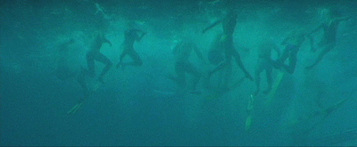 Jaws grog GIF - Find on GIFER