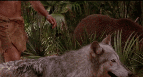 Book GIF - Find on GIFER
