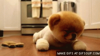 Boo GIF - Find on GIFER