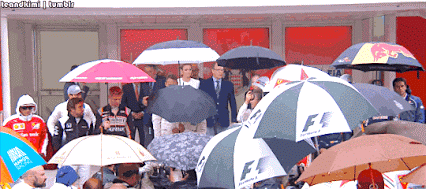 GIF sebastian vettel - animated GIF on GIFER
