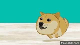 Doge Meme Gif Neige J H