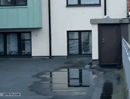 Painful fall GIF - Find on GIFER