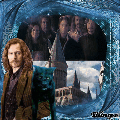 GIF sirius black - animated GIF on GIFER