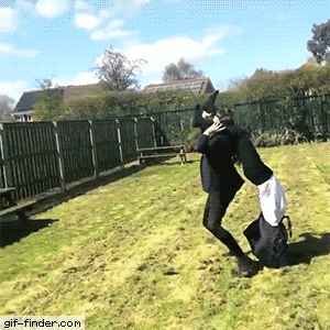 GIF faceplant - animated GIF on GIFER
