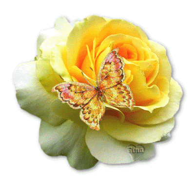 Yellow GIF - Find on GIFER