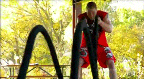 Mma fitness fighter GIF - Find on GIFER