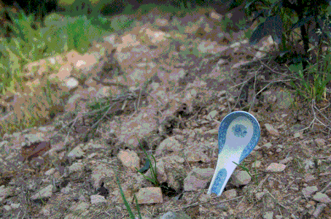 Spoon GIF - Find on GIFER