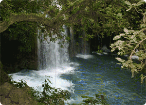 Mexico GIF - Find on GIFER