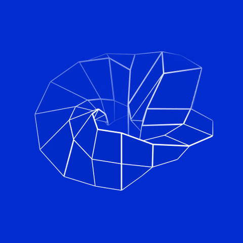 Wireframe loop blue GIF - Find on GIFER