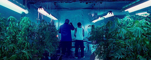 Attack the block GIF - Find on GIFER