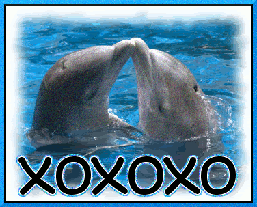 GIF dolphins - animated GIF on GIFER