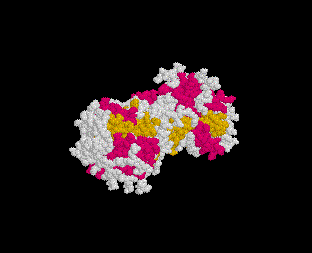 Database GIF - Find on GIFER