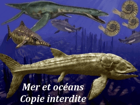 Marine life GIF - Find on GIFER