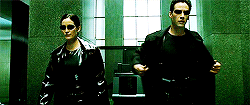 Matrix movie cyber GIF - Find on GIFER