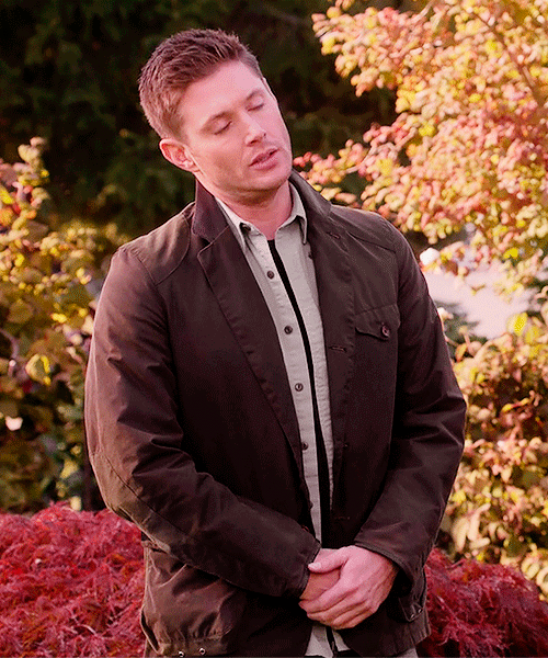 Tv series GIF - Find on GIFER