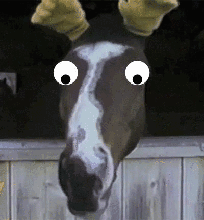 Ras Gif ROLL DISPOSABLE POD SYSTEM | Vape Online UAE | Vape Shop Dubai