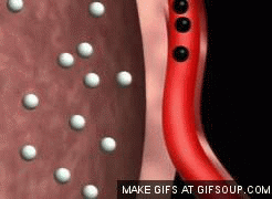 Gas GIF - Find on GIFER