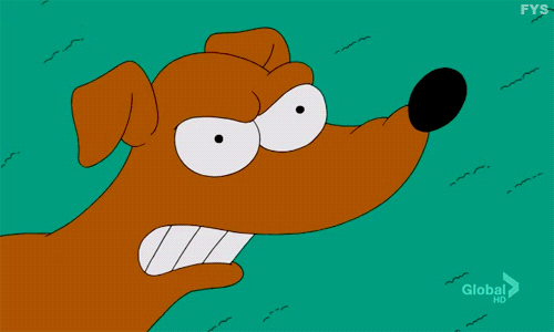 GIF santas little helper reaction simpsons - animated GIF on GIFER