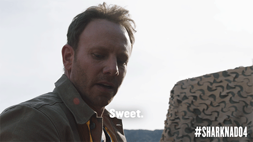Sweet sharknado sharknado 4 GIF - Find on GIFER