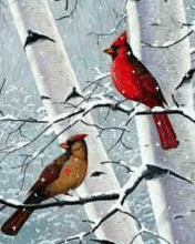 GIF cardinals - animated GIF on GIFER
