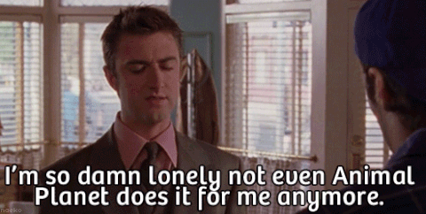 Reunion GIF - Find on GIFER