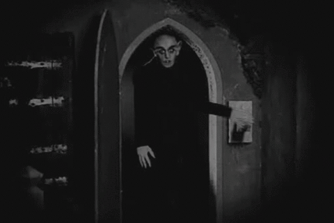 Scary nosferatu horror GIF - Find on GIFER