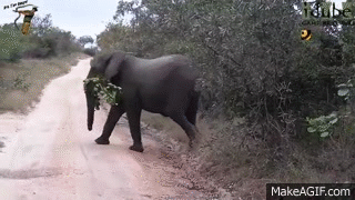 Clumsy GIF - Find on GIFER