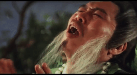 GIF please martial arts kung fu - animated GIF on GIFER