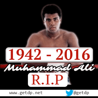 GIF muhammad ali - animated GIF on GIFER
